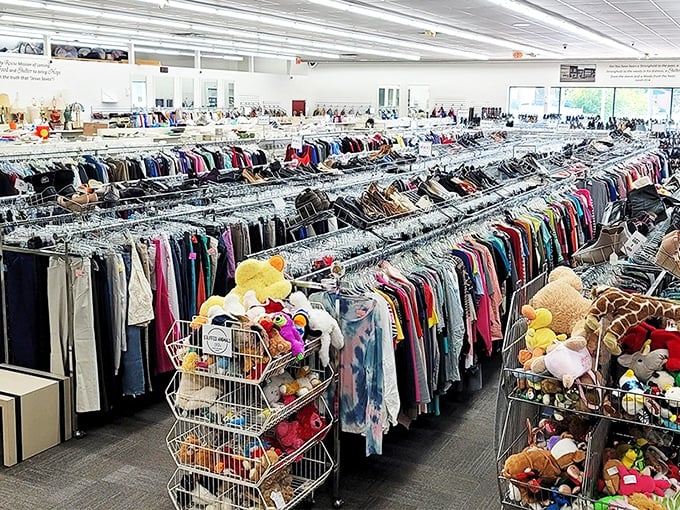 This isn't a store &ndash; it's a carefully organized treasure map where X marks every single spot.