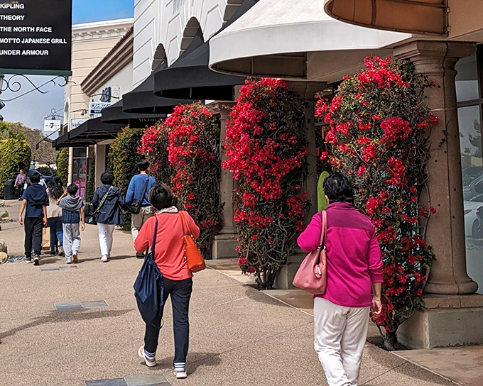 Vibrant bougainvillea frames the walkways like nature's own red carpet, welcoming shoppers to stores that promise both style and savings.