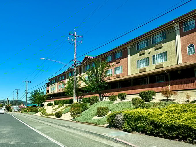 Affordable multi-story living with mountain views? In California? It's not a mirage&mdash;it's just another Tuesday in Willits.