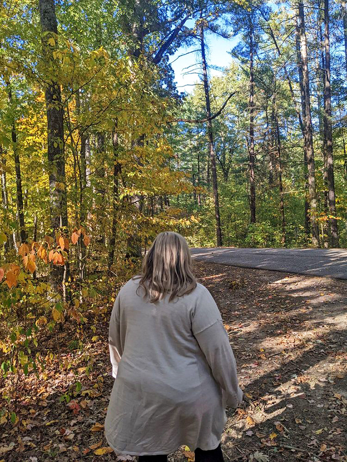 Winding forest paths beckon explorers into a golden cathedral of leaves, where sunlight plays hide-and-seek between branches.