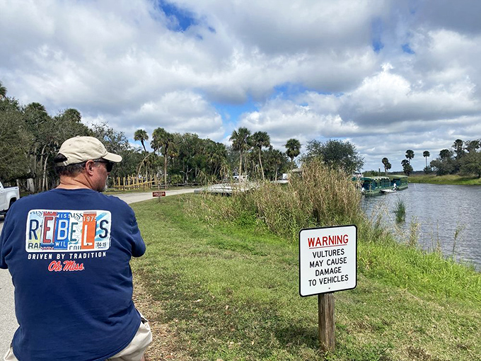 Even the warning signs at Myakka have personality. "Vultures may damage vehicles" is Florida's version of "Please don't feed the bears."