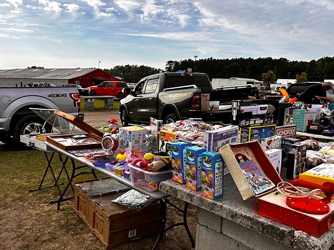 Board games, toys, and childhood memories by the boxful. One person's outgrown playthings become another family's weekend entertainment.