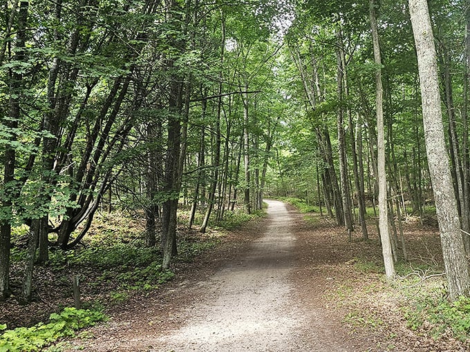 Forest bathing, Midwest style. This serene trail invites visitors to trade digital notifications for the whispers of maple and beech trees.