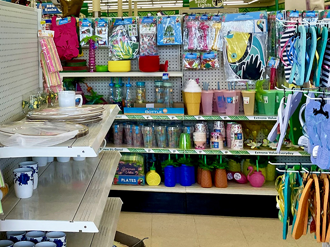 Summer's coming and these tumblers are ready for your sweet tea or lemonade. Southern hospitality doesn't have to break the bank.