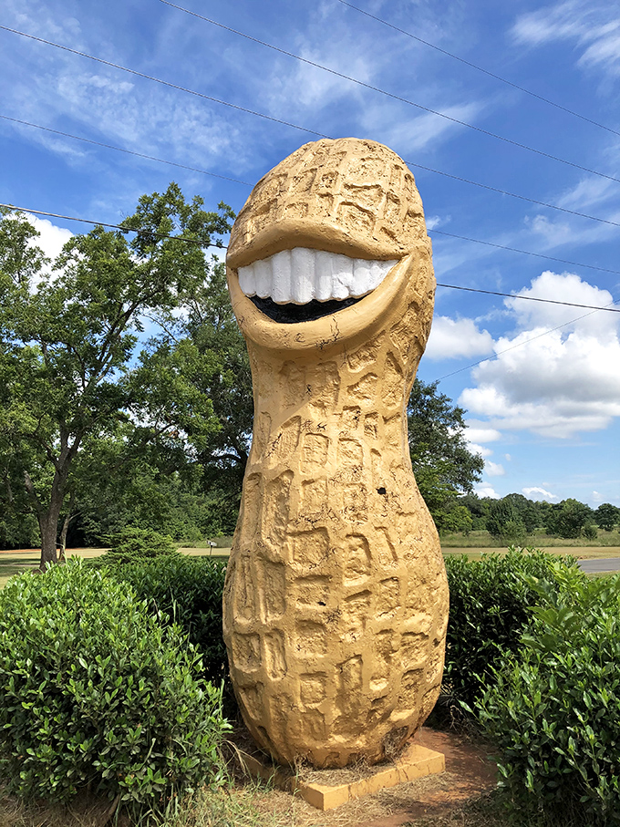 The peanut's infectious smile seems to say, "Yes, I'm ridiculous, and I'm completely at peace with that." Pure roadside joy.