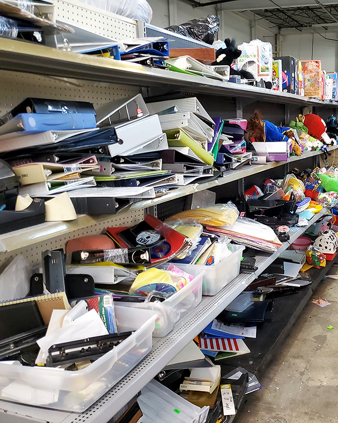 Office supplies and random treasures create a delightful chaos that would make any organized person simultaneously excited and overwhelmed.