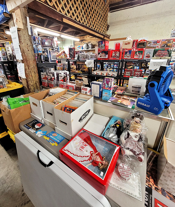 Inside this collector's paradise, nostalgia comes boxed, bagged, and occasionally bubble-wrapped, ready for its second chapter.