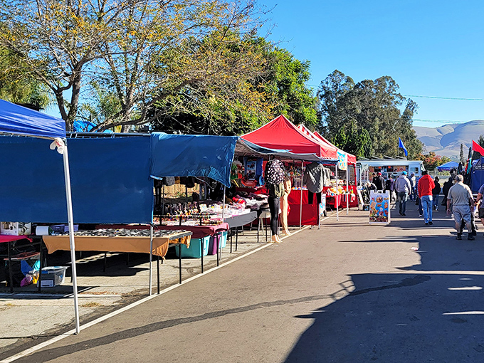 Vendors line both sides of this sunny corridor, their canopies creating an impromptu shopping boulevard of bargain possibilities.
