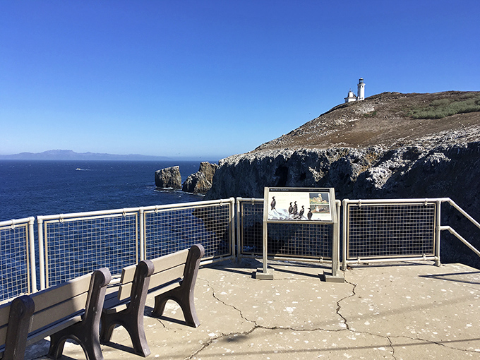 These benches offer front-row seats to nature's greatest show - no ticket required, just patience.