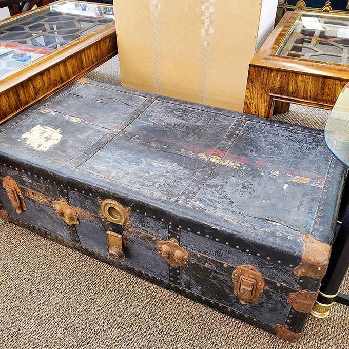 That weathered trunk has more stories to tell than your uncle at Thanksgiving dinner after his third helping.