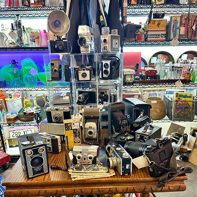 A photographer's dream or a hipster's heaven? This collection of vintage cameras captures moments from an era when "instant" meant waiting a week for development.