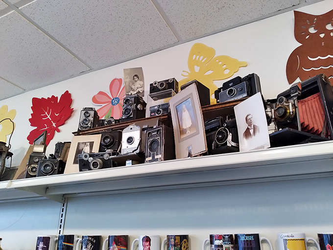 This vintage camera display offers a nostalgic pause between purchases&mdash;a clever reminder of memories made before smartphones ruled our lives.