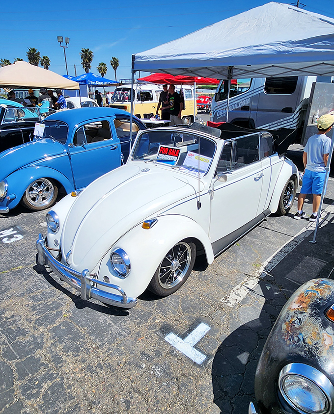 Classic VW Beetles gleam in the California sun. Car enthusiasts flock to Kobey's automotive section, where vehicular dreams come with "For Sale" signs.