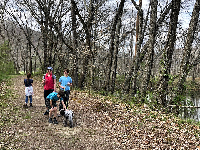 Family trails wind through winter-bare trees, where even the dog seems to understand this is what weekends were made for.
