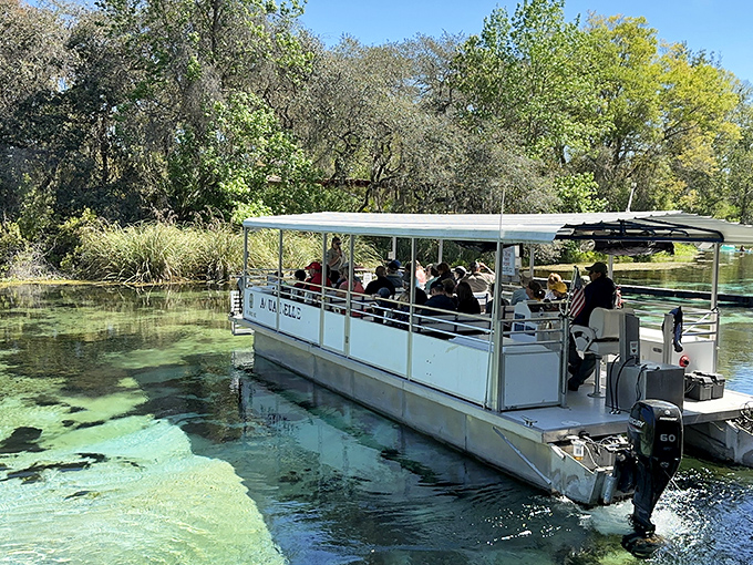 The riverboat tour: where you can experience nature's wonders without having to explain to your chiropractor why you thought kayaking was a good idea.