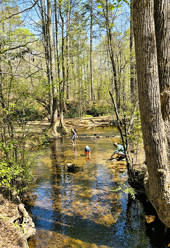 Childhood memories are made in shallow creek beds, where rock-hopping adventures and cool water provide summer's perfect natural playground.