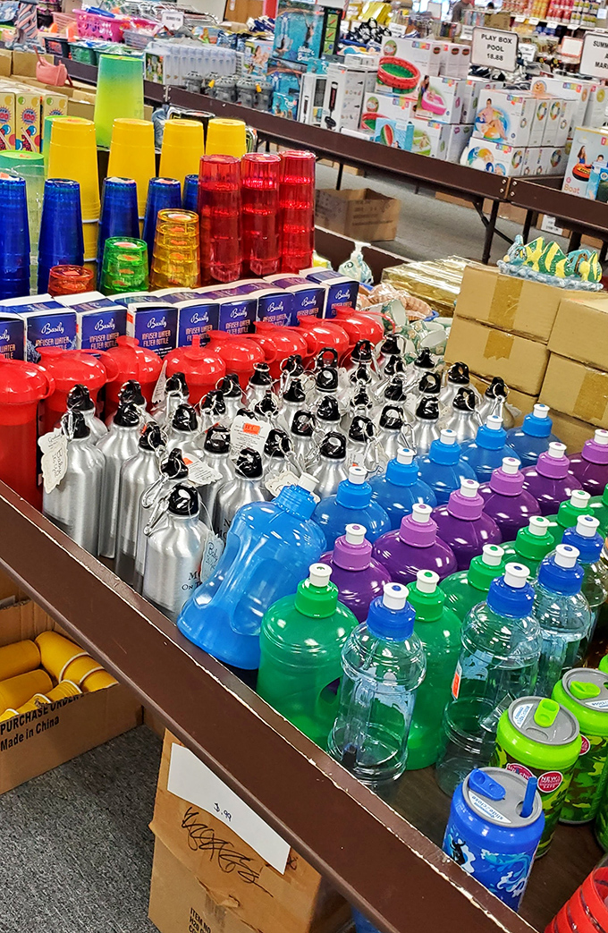 A rainbow of water bottles and cleaning supplies that would make Marie Kondo weep with organizational joy. Hydration and cleanliness have never been so colorful!