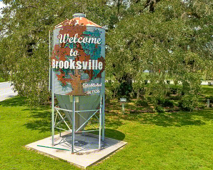 Brooksville's water tower welcomes visitors with rustic charm and a tree silhouette that says, "Yes, we have actual shade here in Florida."