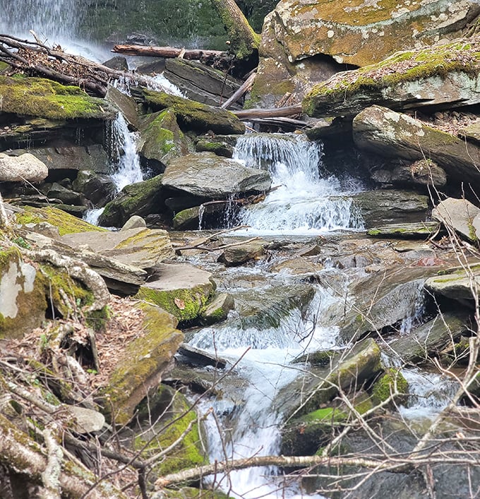 The stream's mini-cascades create nature's own staircase, each step polished by centuries of persistent water and adorned with emerald moss.
