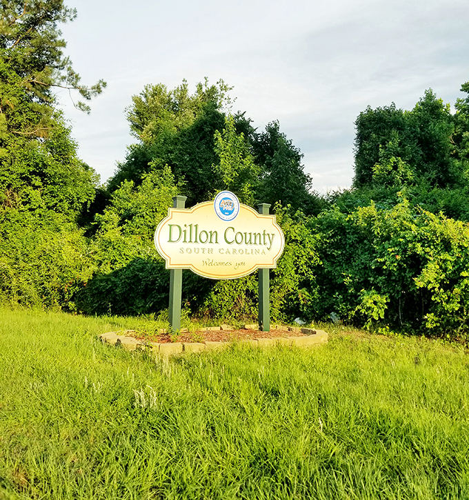 The welcoming sign to Dillon County stands amid lush greenery. First impressions matter, and this one says "Southern hospitality ahead!"