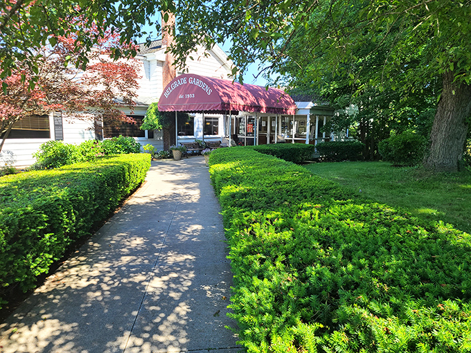 Belgrade Gardens nestles among mature trees like a hidden gem, where landscaping matches the care inside.