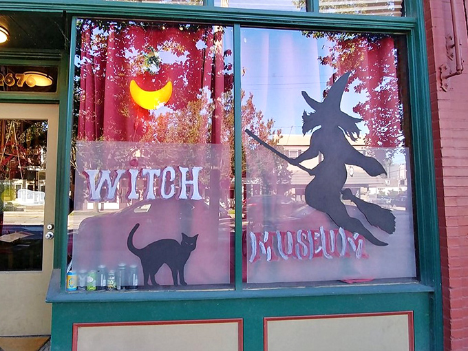 Buckland Museum: Behind this bewitching window display lies a treasure trove of magical artifacts that would make Hogwarts professors jealous.
