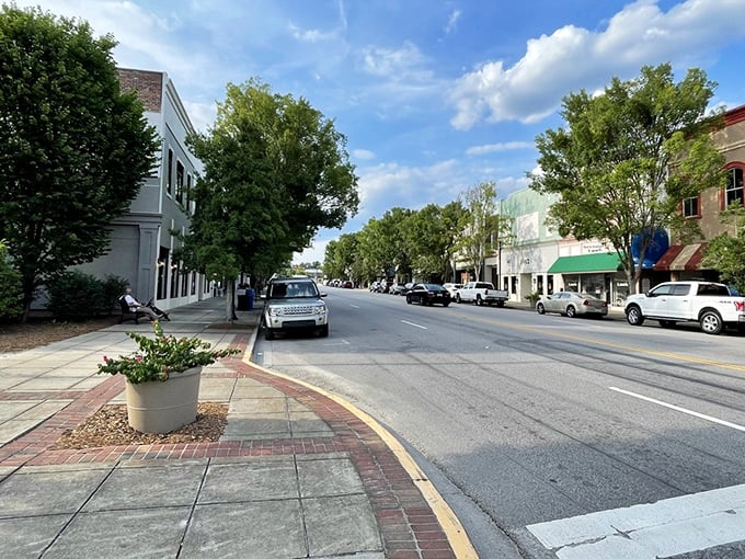 Camden's historic downtown features well-preserved buildings where your Social Security check goes further thanks to housing costs 40% below national averages.