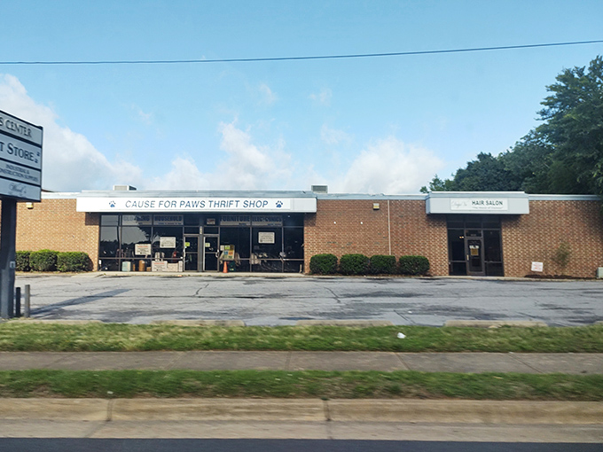 Cause for Paws combines retail therapy with animal rescue - shopping that makes your heart and wallet happy.