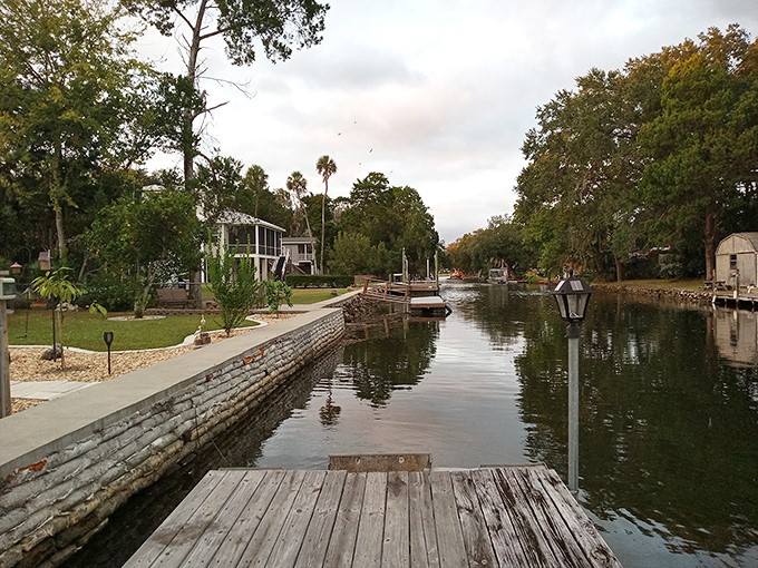 Crystal River's canals offer front-row seats to Florida's natural wonders &ndash; no special effects needed for this water show!