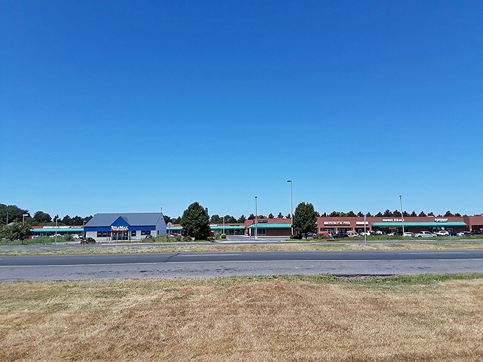 The commercial district outside historic Delmar provides modern conveniences without sacrificing the town's relaxed, unhurried atmosphere.