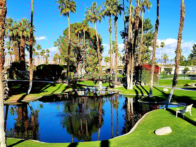 Desert landscaping done right - where palm trees and comfort coexist like old friends sharing morning coffee.