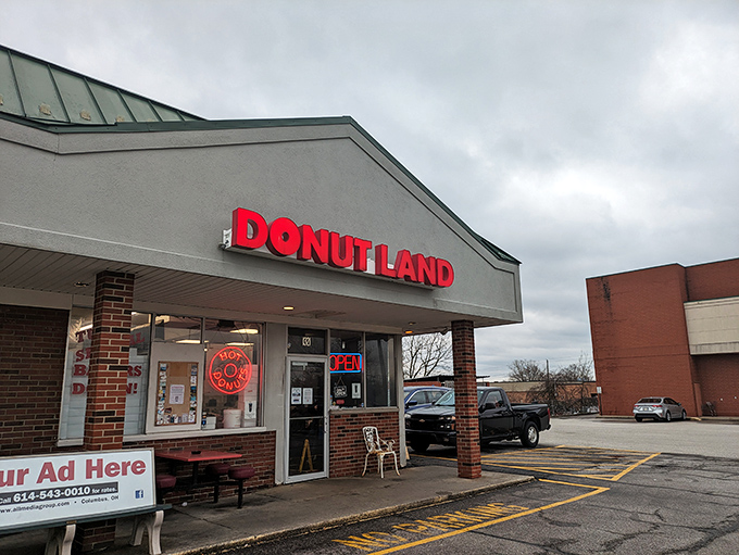When your shop is literally called Donut Land, you better deliver the goods - and this place absolutely does.