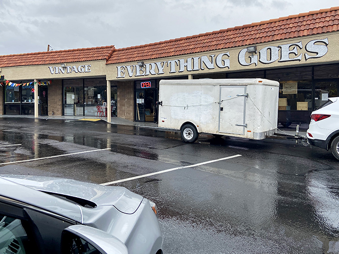 The name says it all - when everything goes, smart shoppers know where to find the best deals.