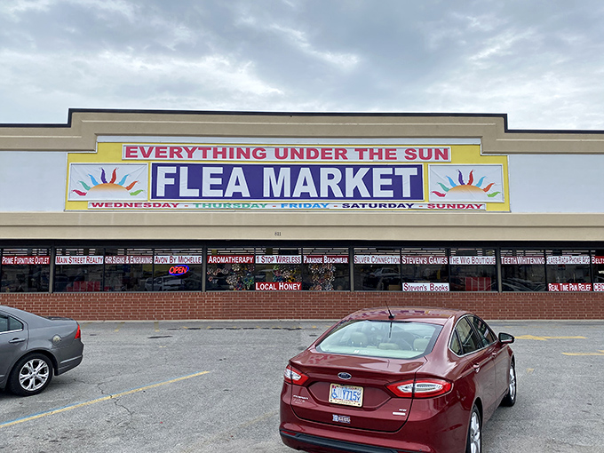 "Everything Under The Sun" isn't just a name&mdash;it's a promise. This North Myrtle Beach institution delivers with sunny enthusiasm.