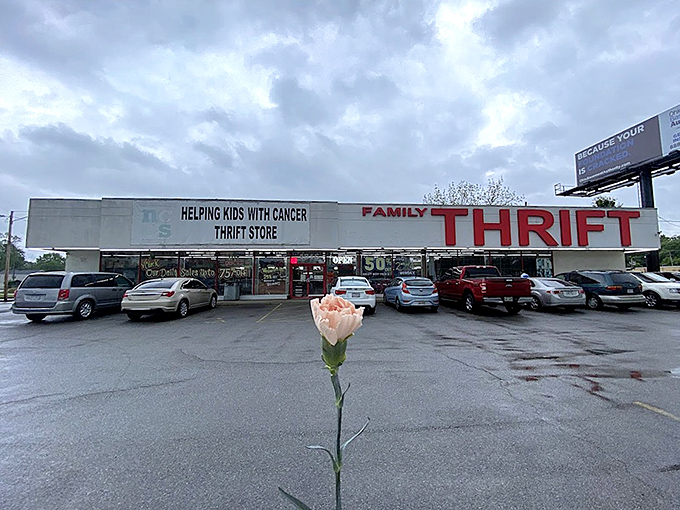 "Helping Kids with Cancer" - suddenly that vintage lamp purchase feels like a Nobel Prize moment. 