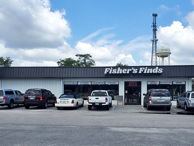 Fisher's Finds lives up to its curious name - this unassuming storefront conceals wonders that would make Indiana Jones jealous.