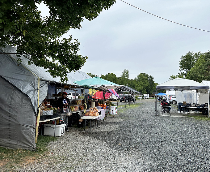 Tents and tables create a patchwork of possibilities at this Charlotte bargain hunter's paradise.