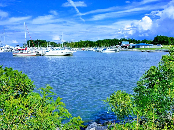 Sailboats dot the horizon like white butterflies dancing on blue silk waters.