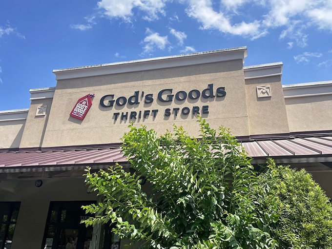 This clean, professional storefront suggests organized aisles and carefully selected merchandise that makes thrift shopping feel almost luxurious.