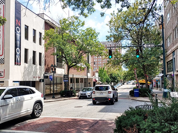 Greensboro's revitalized downtown sparkles with possibility, where Social Security dollars stretch like warm taffy on summer days.