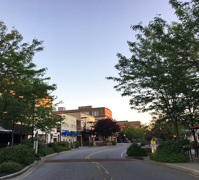 Hendersonville's tree-lined streets create natural air conditioning, proving Mother Nature knows best about comfort and savings.