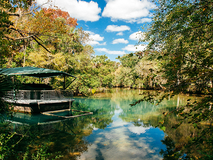 Homosassa's waterfront dining combines fresh catches with Old Florida atmosphere that money simply can't manufacture elsewhere.