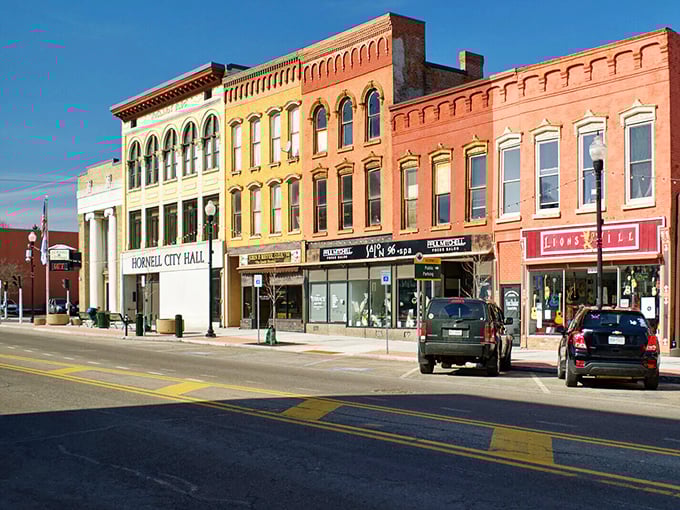 Hornell's downtown vista showcases historic architecture against rolling hills. A place where your dollar stretches further than your imagination!