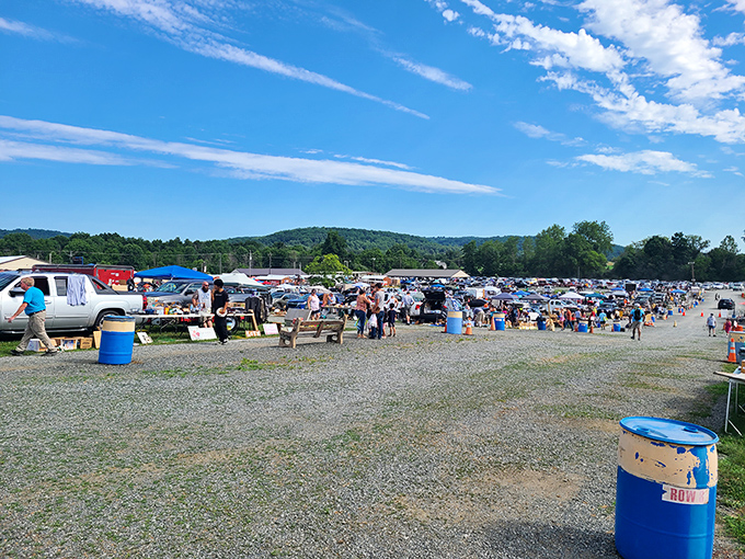 Jake's Flea Market stretches across the countryside like a festival of finds, where every table holds potential treasures.