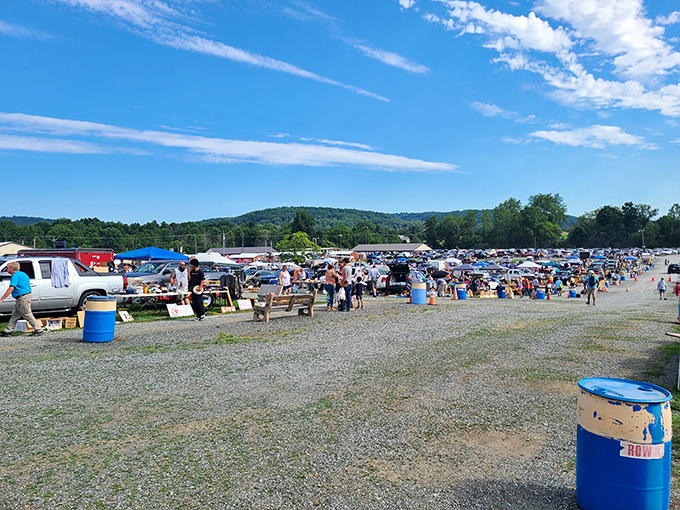 Jake's Flea Market stretches to the horizon, a patchwork quilt of tables where everyday items find their second chance.