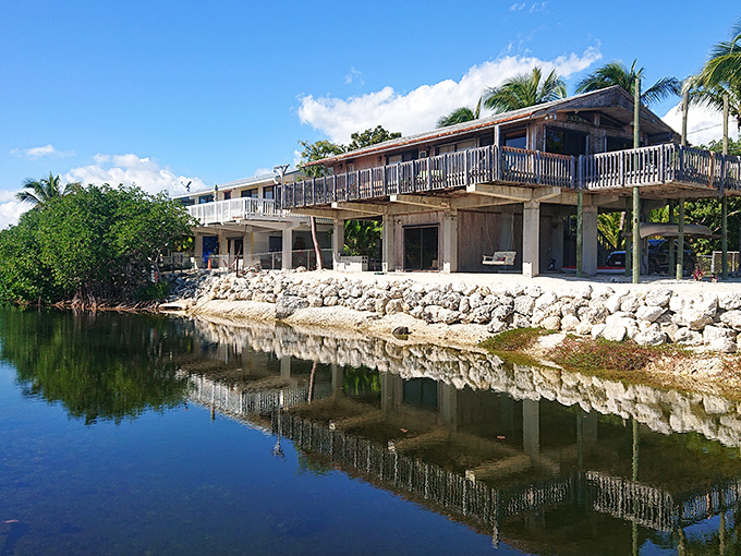 Glass-bottom boats reveal Key Largo's underwater neighborhoods where fish commute in technicolor traffic.