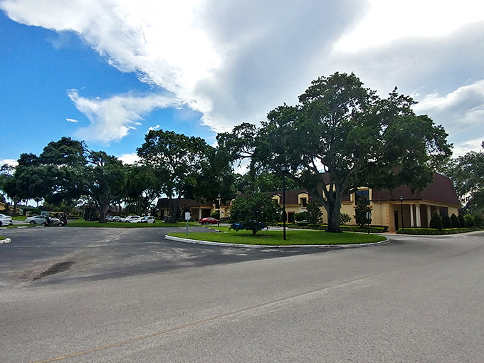 Majestic oaks frame a community where neighbors become lifelong friends.