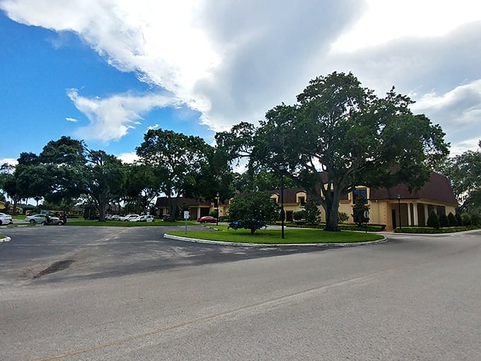 Majestic oaks frame a community where neighbors become lifelong friends.
