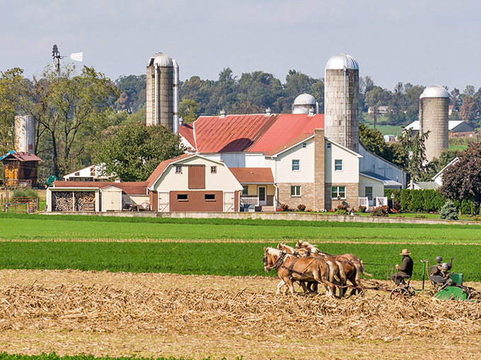 Here's where horses still do the heavy lifting, pulling plows through rich soil like their ancestors did centuries ago.