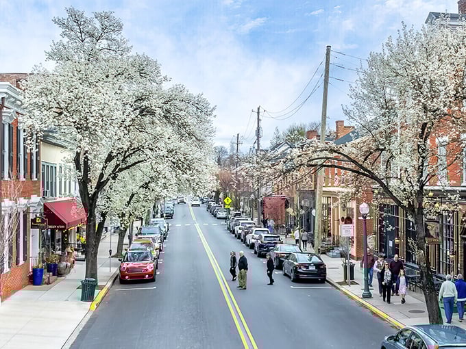 Tree-lined perfection that makes you want to slow down and savor every single moment of small-town bliss.